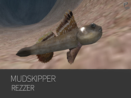 Second Life Marketplace Mudskipper Rezzer